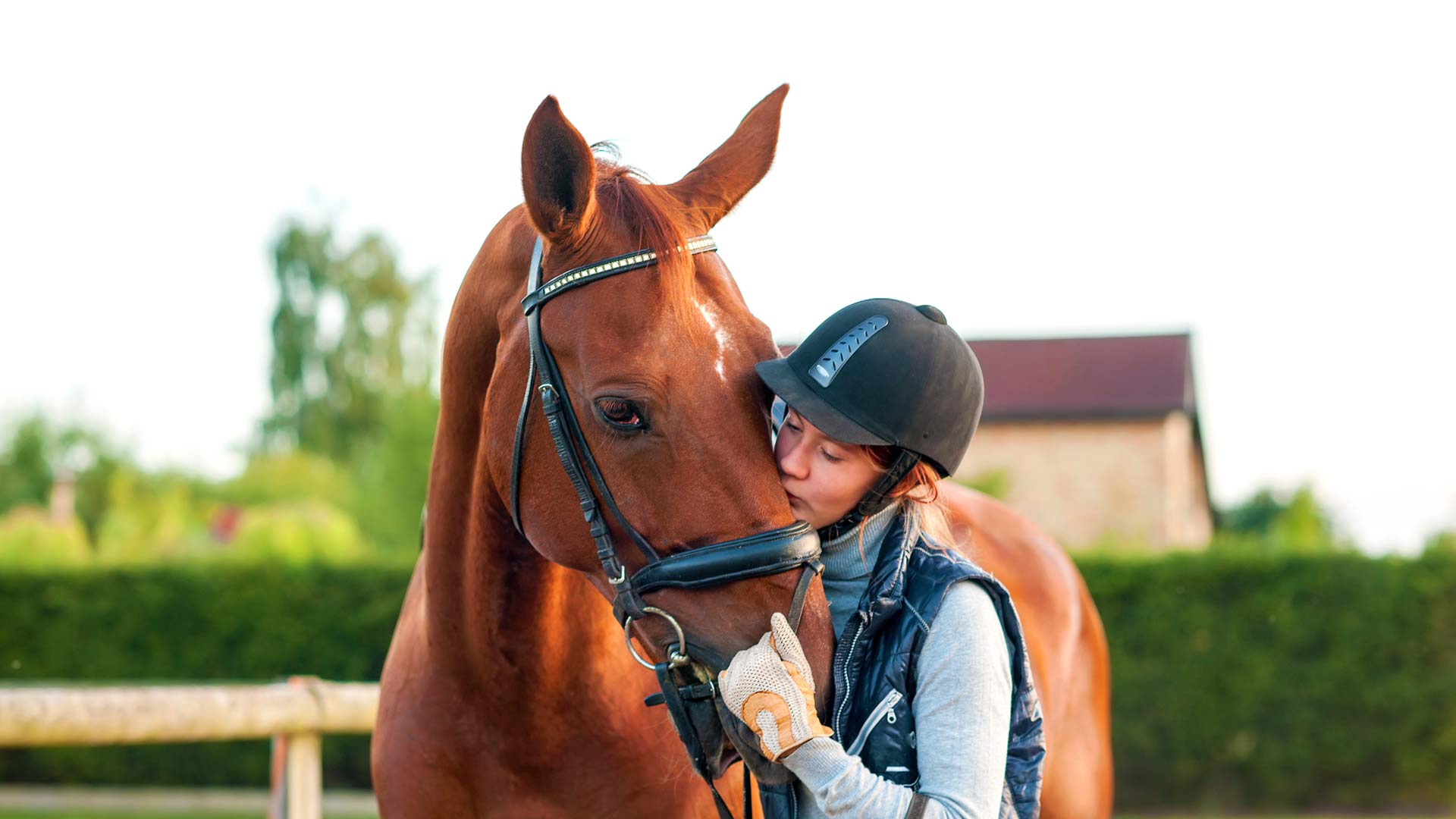 Horseback Riding - EcoTourism
