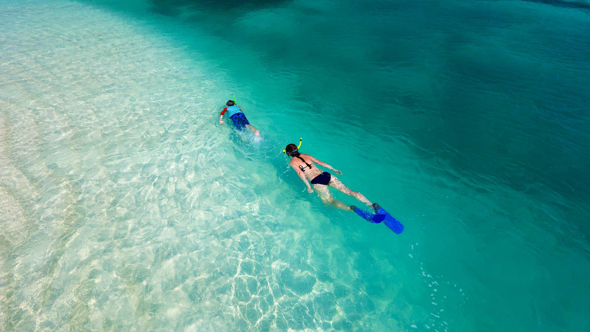 Scalloping - EcoTourism