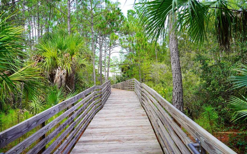 The Best Things To Do in Florida Spring 2024 | Ecotourism FL