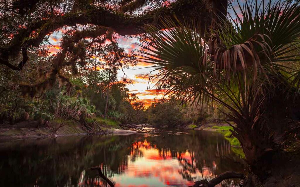 The Best Things To Do in Florida Spring 2024 | Ecotourism FL