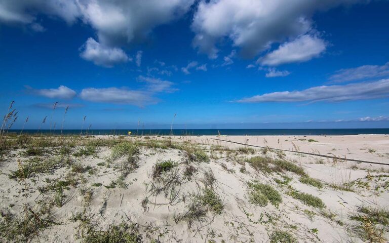 The Best Outdoor Activities in Florida | Ecotourism FL