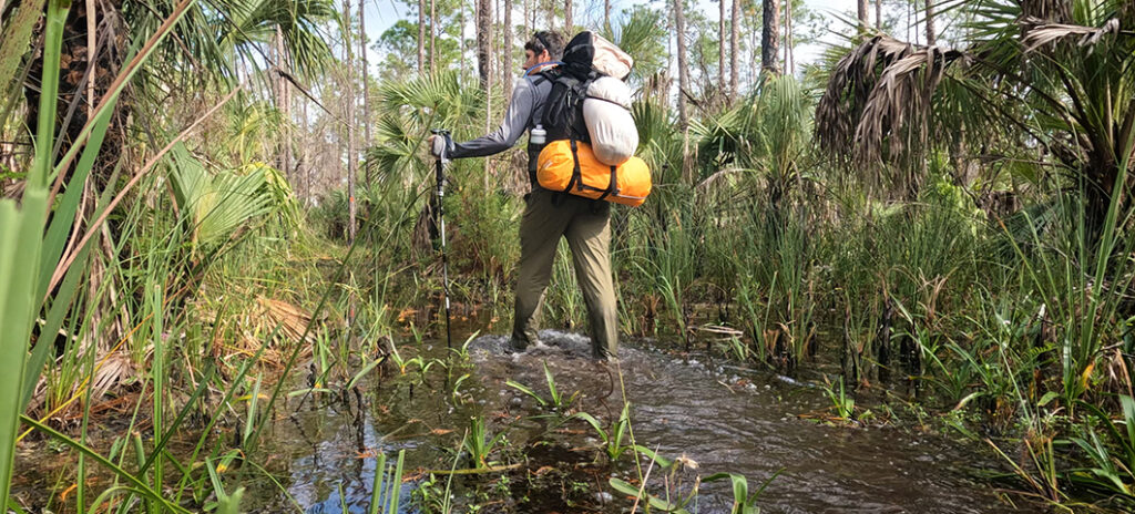 Top 10 Spring Camping Destinations in Florida