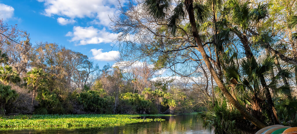 Top 10 Spring Camping Destinations in Florida