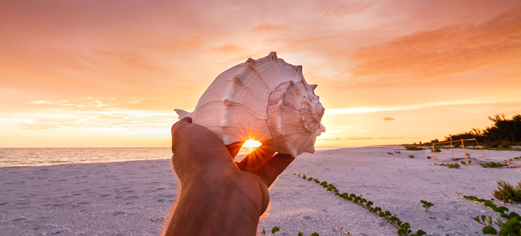 Florida's Best Wildlife Photography Spots | Ecotourism FL